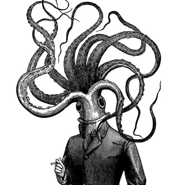 Squid Face - Musician in Brattleboro VT - BandMix.com