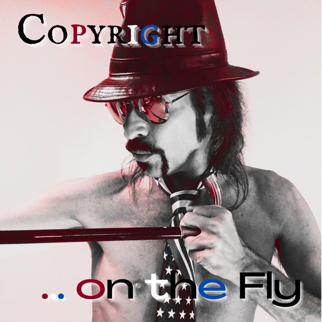 on the Fly - Musician in Naperville IL - BandMix.com