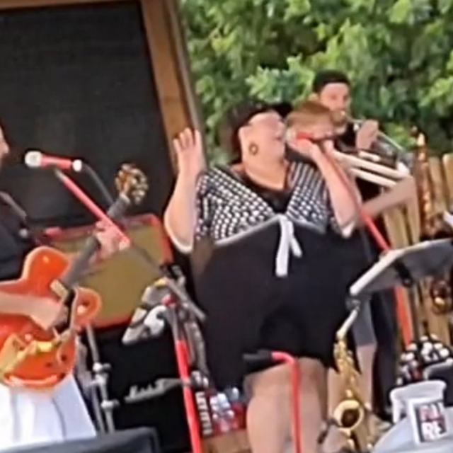 Laugh Junkie - Musician in Sarasota FL - BandMix.com