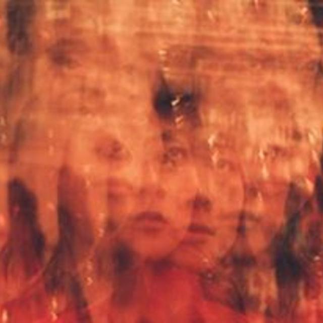 Susan Moon - Musician in Jersey City NJ - BandMix.com