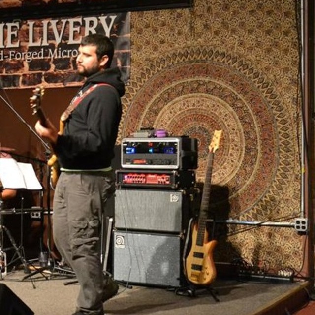 Ivan Torres - Musician in Stevensville MI - BandMix.com