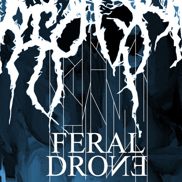 FERAL DRONE - Band in South Point OH - BandMix.com