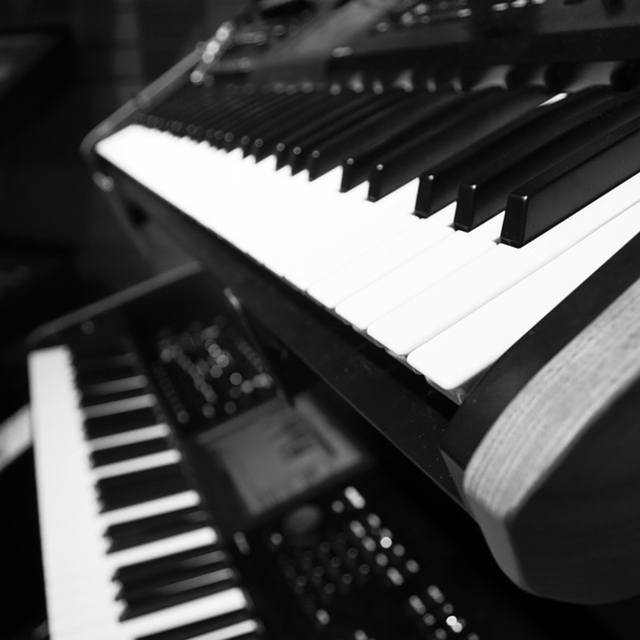 Phish-Keys - Musician in Clarendon Hills IL - BandMix.com