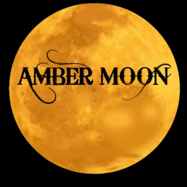 Amber Moon - Band in Old Bridge NJ - BandMix.com