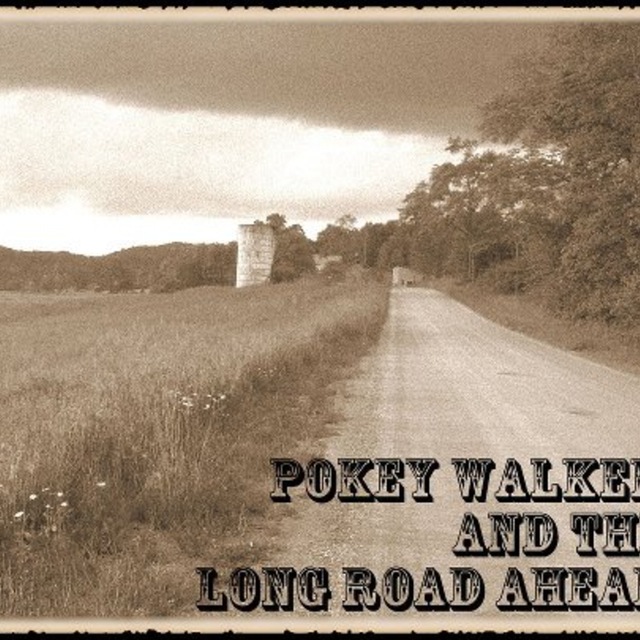 Pokey Walker & The Long Road Ahead - Band in Miami FL - BandMix.com