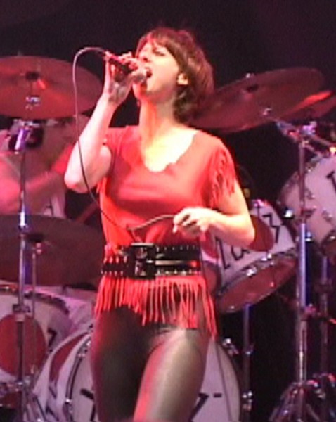 Fire and Ice - Band in Dallas TX - BandMix.com