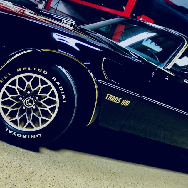 Friday night trans am - Musician in Minneapolis MN - BandMix.com