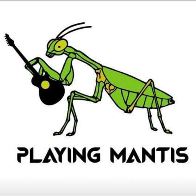 Playing Mantis - Band in East Providence RI - BandMix.com