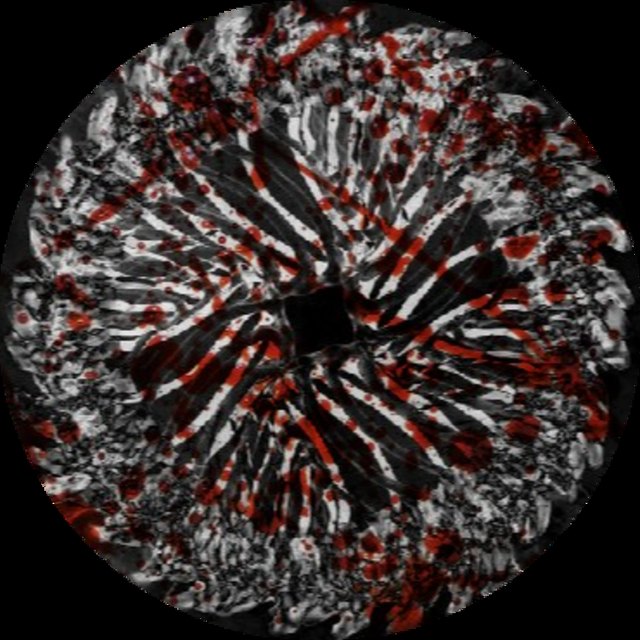 The Consequent - Band in Redding CA - BandMix.com