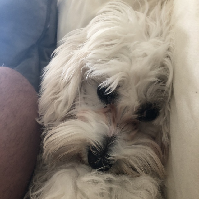 Idk yet - Band in Orchard Lake MI - BandMix.com