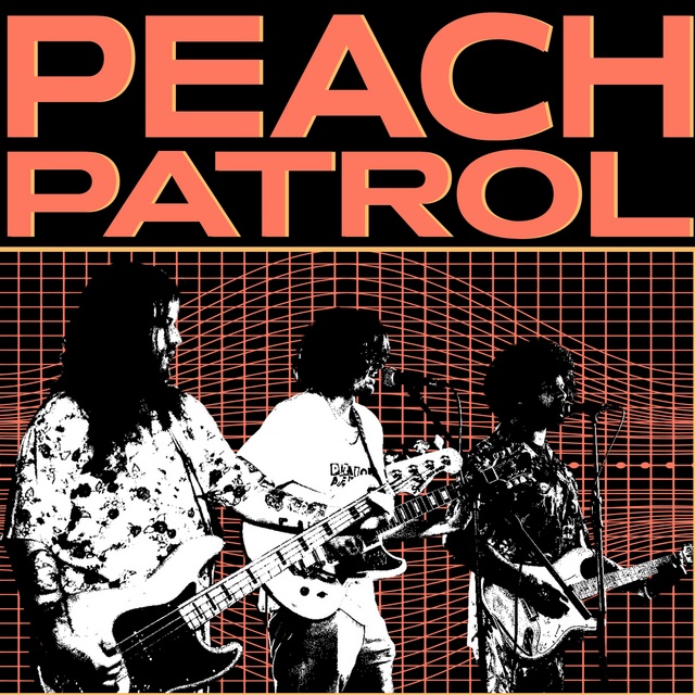 Peach Patrol - Band in Bluffton SC - BandMix.com