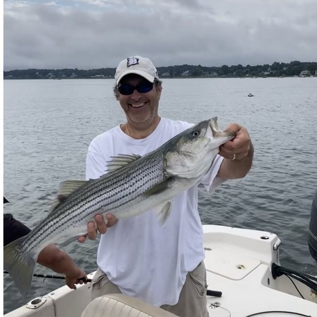 Frank Long - Musician in Scituate MA - BandMix.com