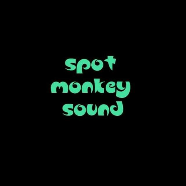 Spot Monkey - Band in Dayton OH - BandMix.com