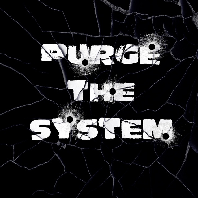 Purge The System - Band in River Grove IL - BandMix.com