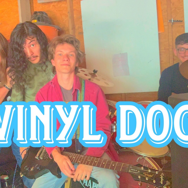 Vinyl Dog - Band in Augusta GA - BandMix.com