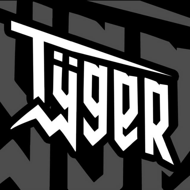 TYGER - Band in Charlotte NC - BandMix.com