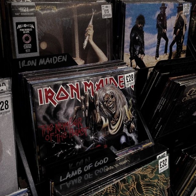 June - Band in Flushing NY - BandMix.com