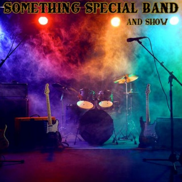 Something Special Band and Show - Band in Washington DC - BandMix.com