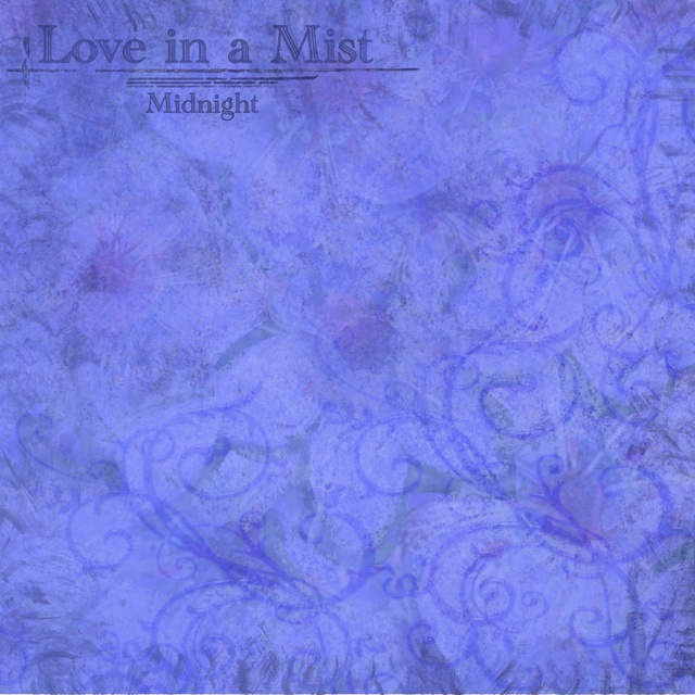 Love in a Mist - Band in Miami FL - BandMix.com