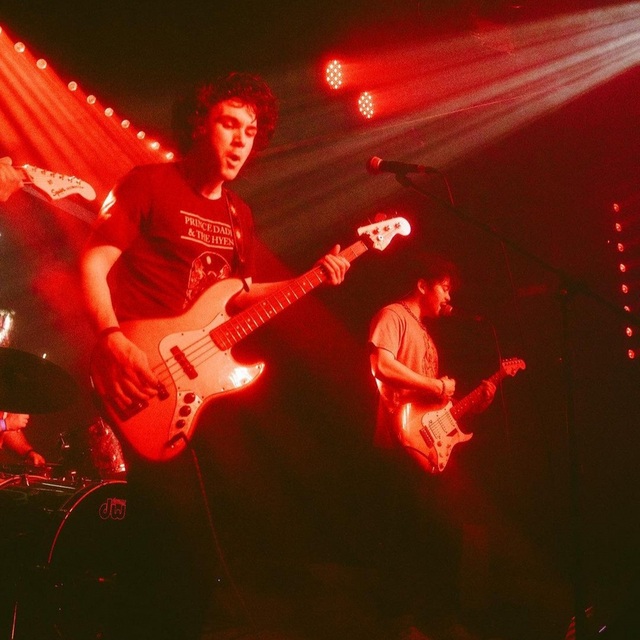 Mush, Puppy! - Band in Carrboro NC - BandMix.com