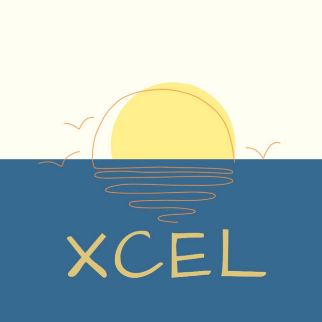 XCEL - Band in Madison WI - BandMix.com