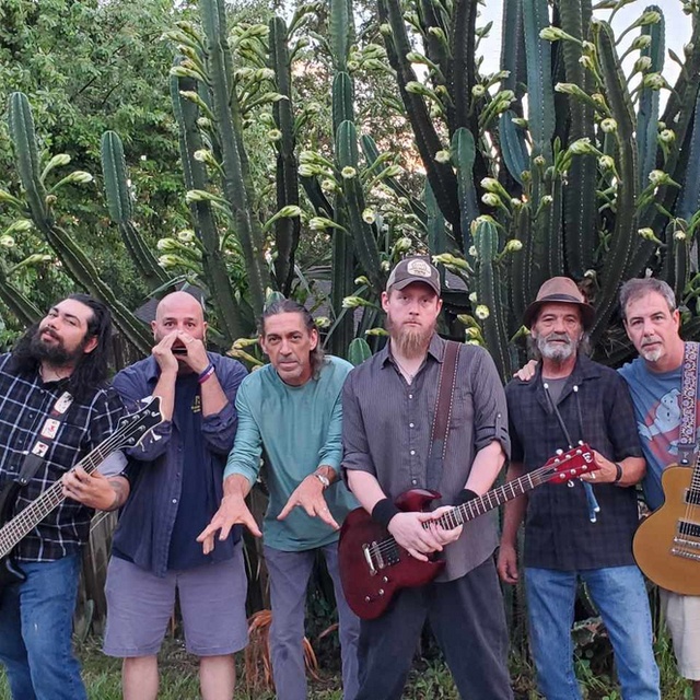 Feral Chicken Band - Band in Lockhart FL - BandMix.com