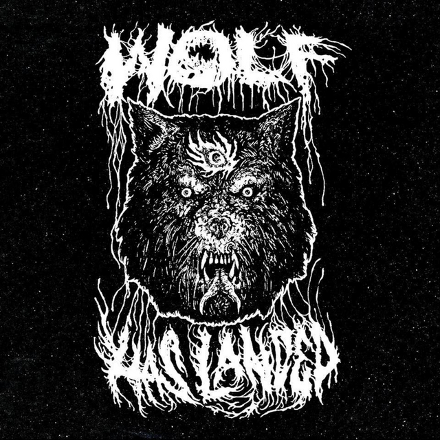 Wolf Has Landed - Band in Holiday Hills IL - BandMix.com