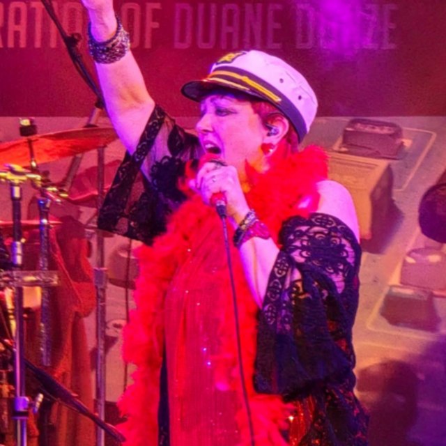 Dear Darla Band - Band in Hillsboro MO - BandMix.com