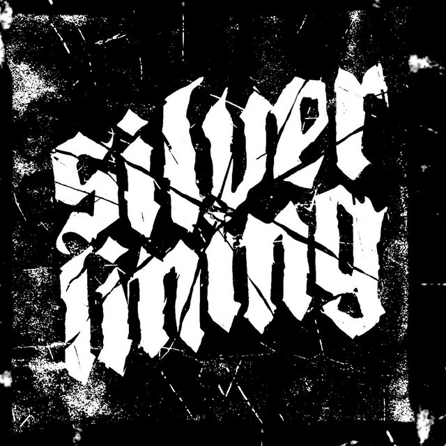 Silver Lining - Band in Arvada CO - BandMix.com