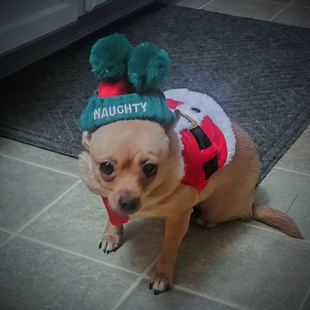 Nothing - Band in Fall River MA - BandMix.com