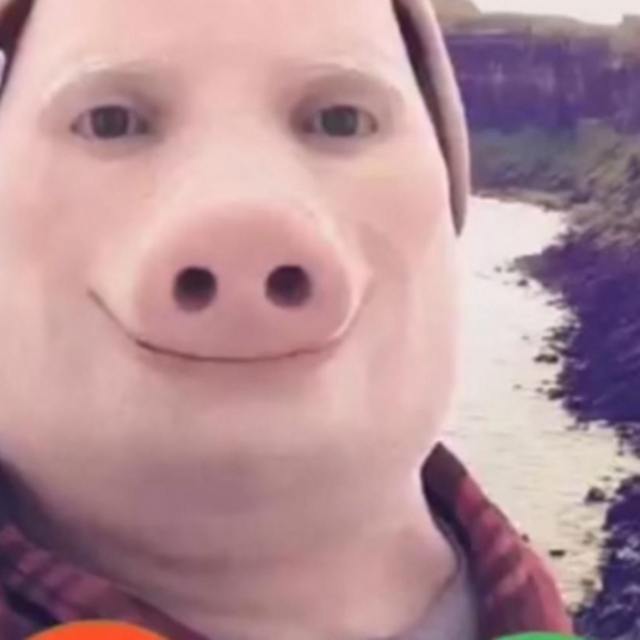 Wild Division - Band in Lodi OH - BandMix.com