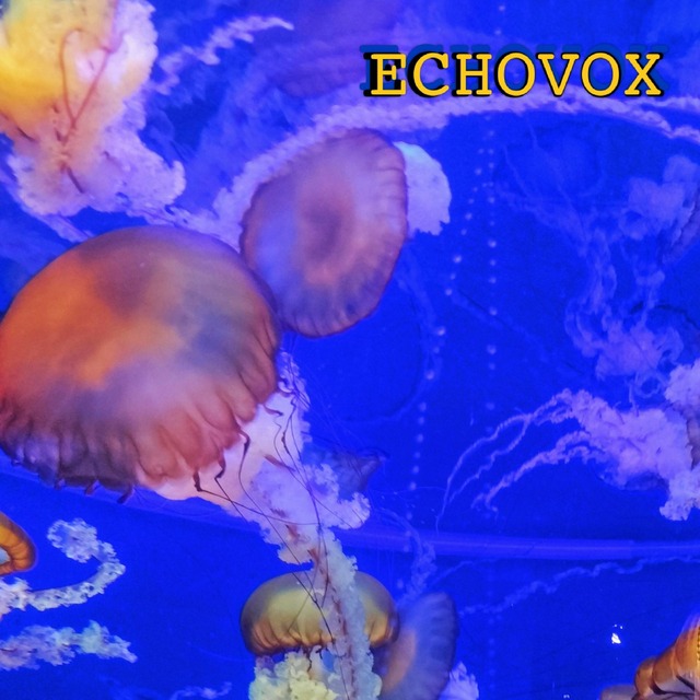 Nick - Band in Anaheim CA - BandMix.com