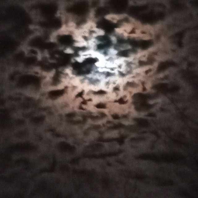 Tyler - Band in Jerome IL - BandMix.com