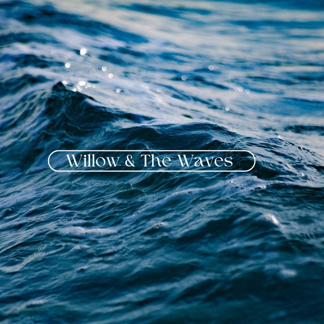 Willow & The Waves - Band in Aurora IL - BandMix.com