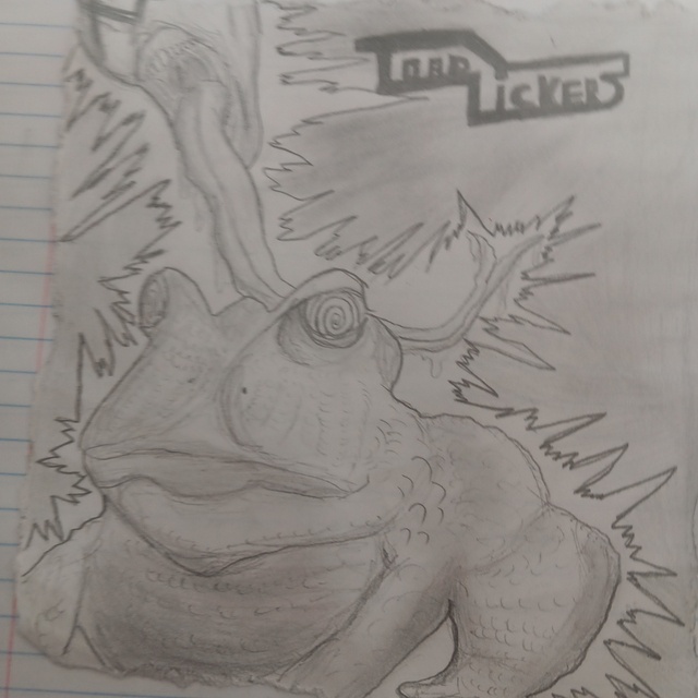 Toad liqour - Musician in Cottage Grove MN - BandMix.com