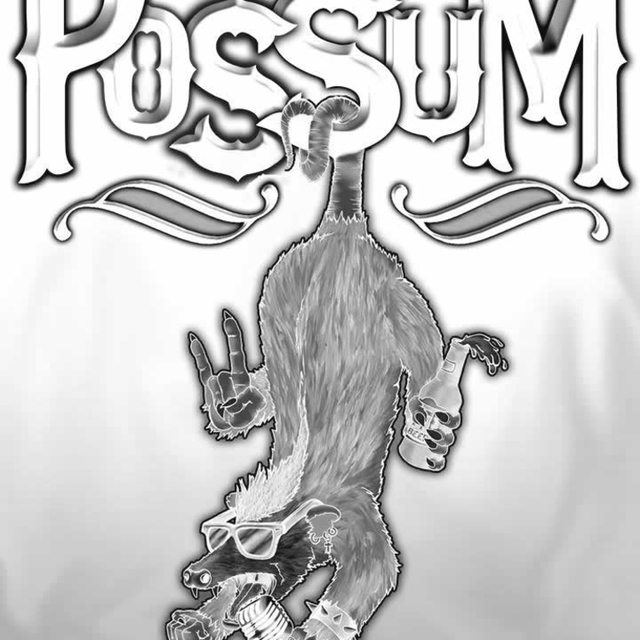 Possum - Band in Katy TX - BandMix.com