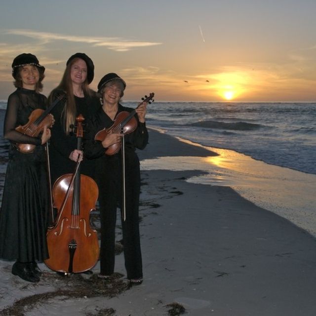 Robin String Ensemble - Band in Bradenton FL - BandMix.com