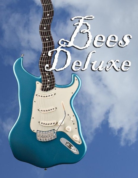 Bees Deluxe - Band in Boston MA - BandMix.com