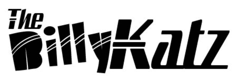 The Billy Katz - Band in Saco ME - BandMix.com