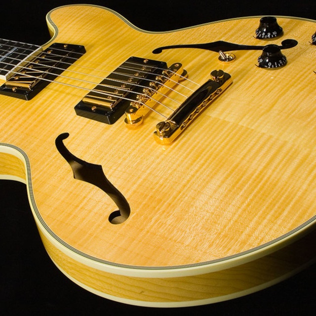 Endpin - Musician in Fort Worth TX - BandMix.com