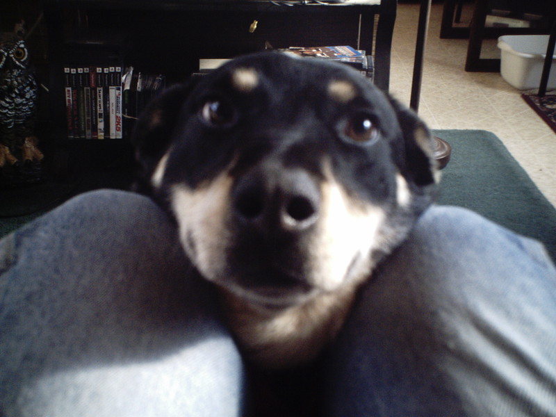 The Relics - Band in Loveland CO - BandMix.com