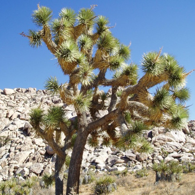 deeper - Band in Capistrano Beach CA - BandMix.com