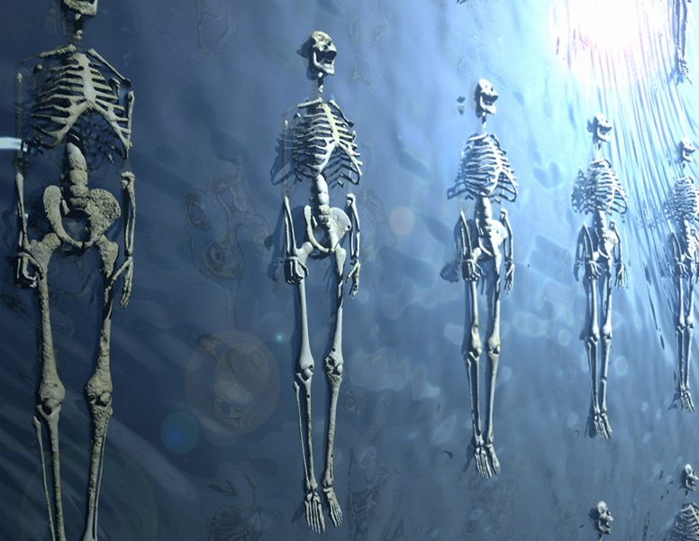 Foreseen - Band in Gulf Breeze FL - BandMix.com