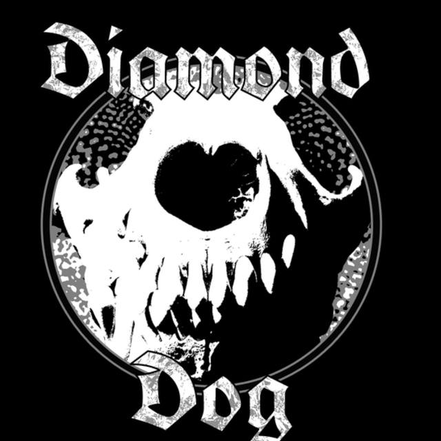 Diamond Dog - Band in Ocean Springs MS - BandMix.com