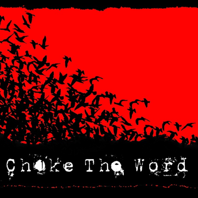Choke The Word - Band in Denver CO - BandMix.com