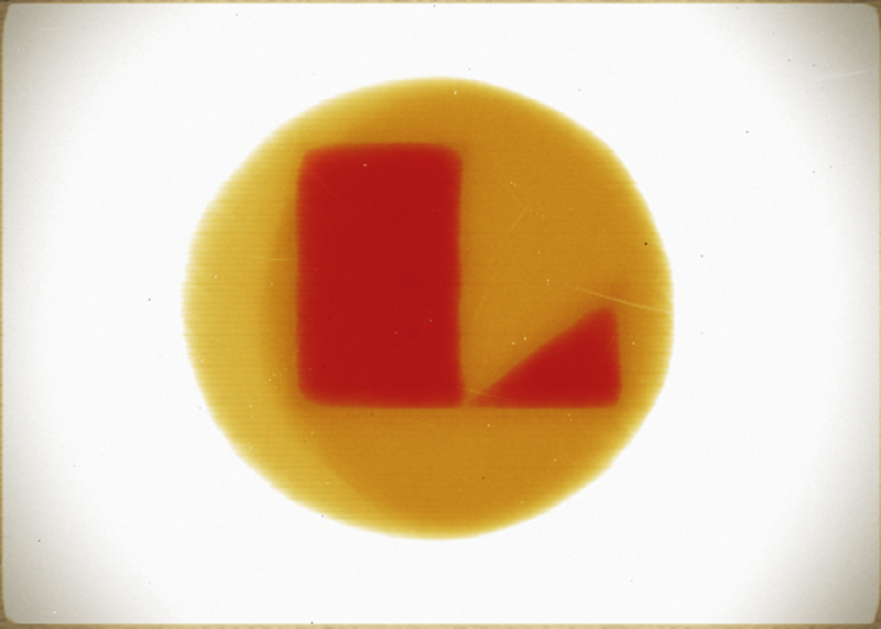 Yellow L - Band in Sarasota FL - BandMix.com