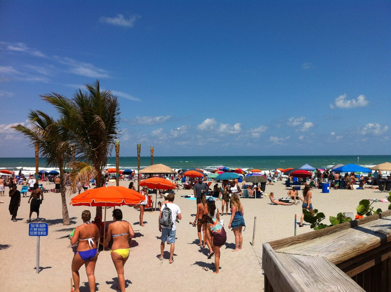 Kaya - Band in Jacksonville FL - BandMix.com