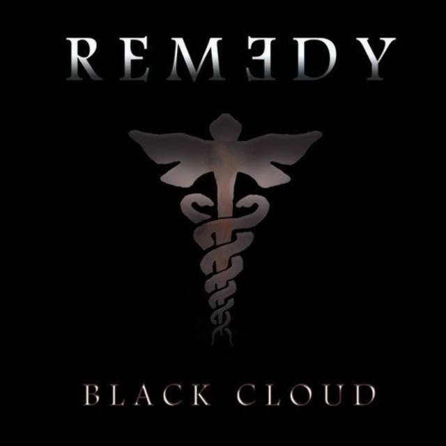 Remedy - Band in Putnam Valley NY - BandMix.com