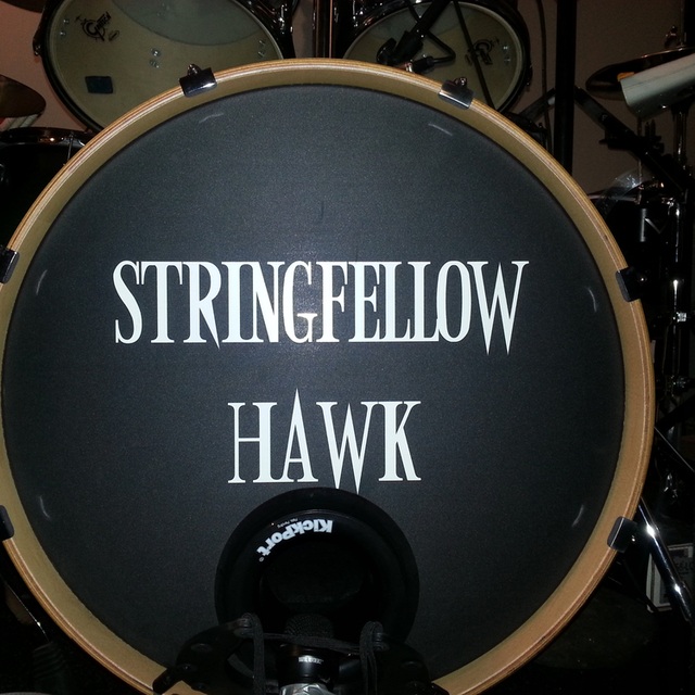 StringFellow Hawk - Band in Buffalo NY - BandMix.com